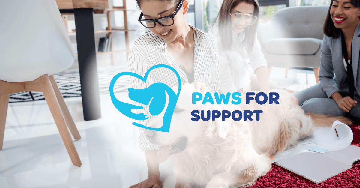 Certified Support Dog Training | Paws For Support
