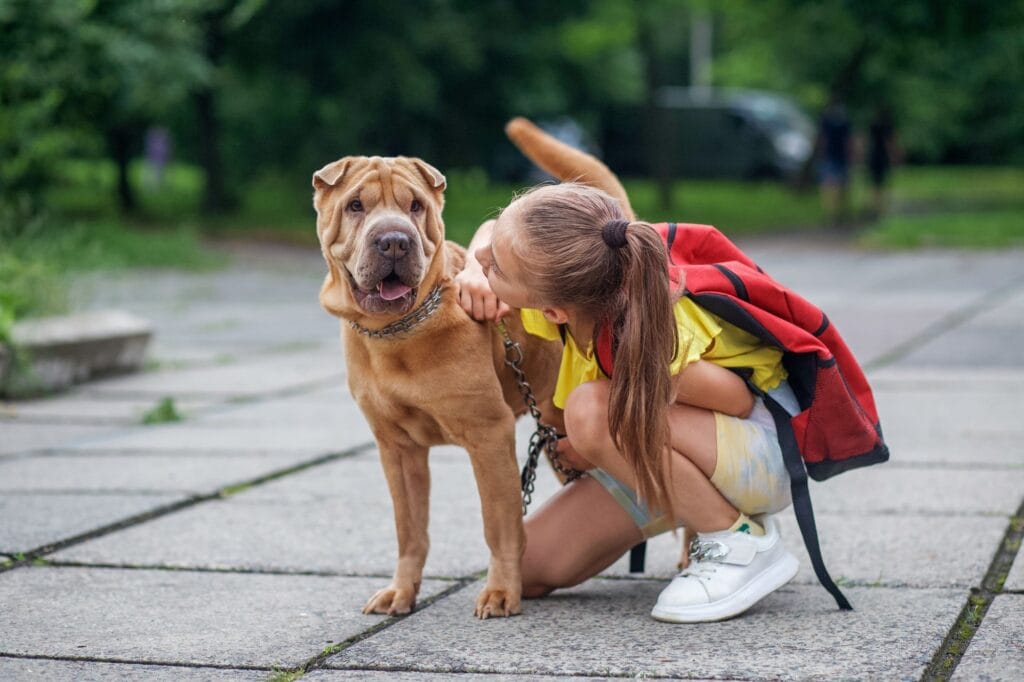 Therapy Dogs in School: Wellbeing Animal Student Program