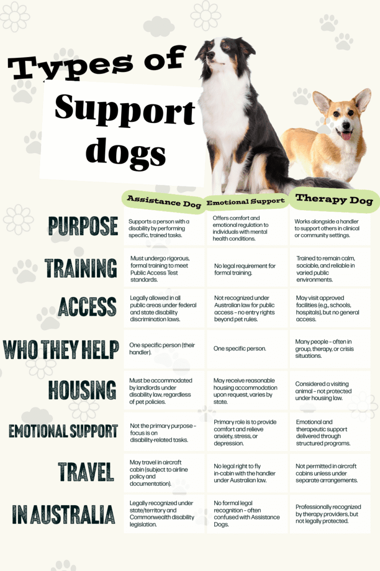 Assistance Dog & Service Dog Certificates for Dogs Australia