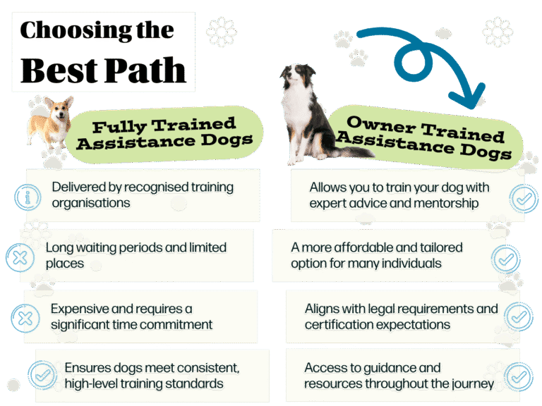 Service Dog Certification Owner Trained Assistance Dogs Australia