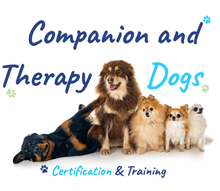 Certified Support Dog Training | Paws For Support