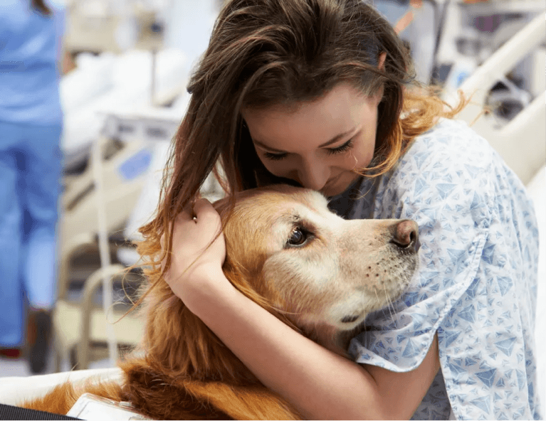 Certified Support Dog Training | Paws For Support