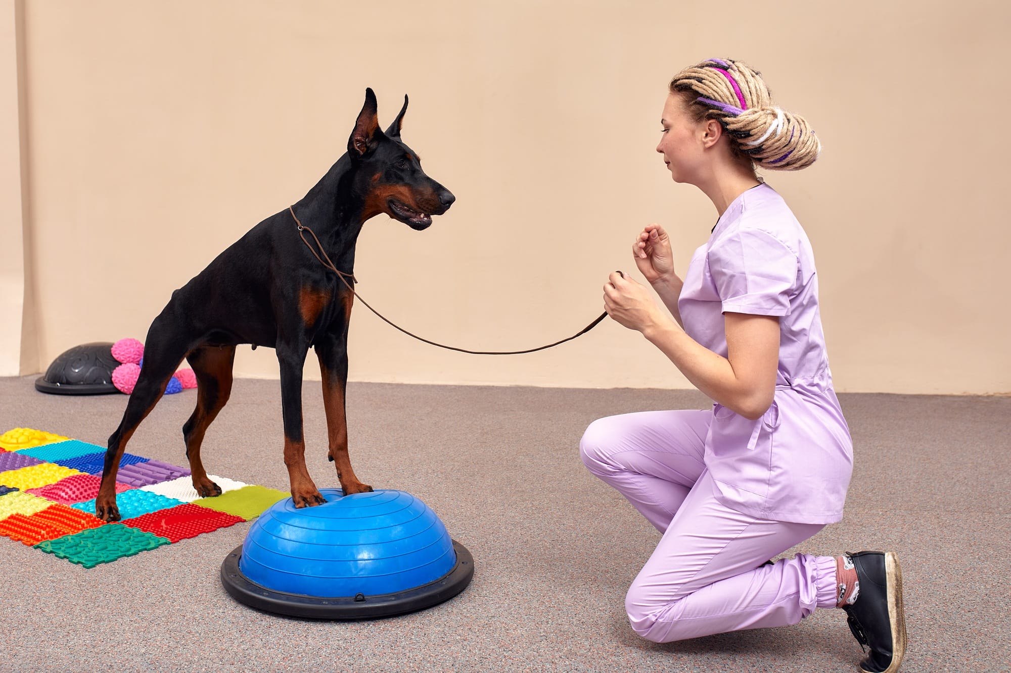 Therapy Dogs: Guiding Wellbeing & Mental Health